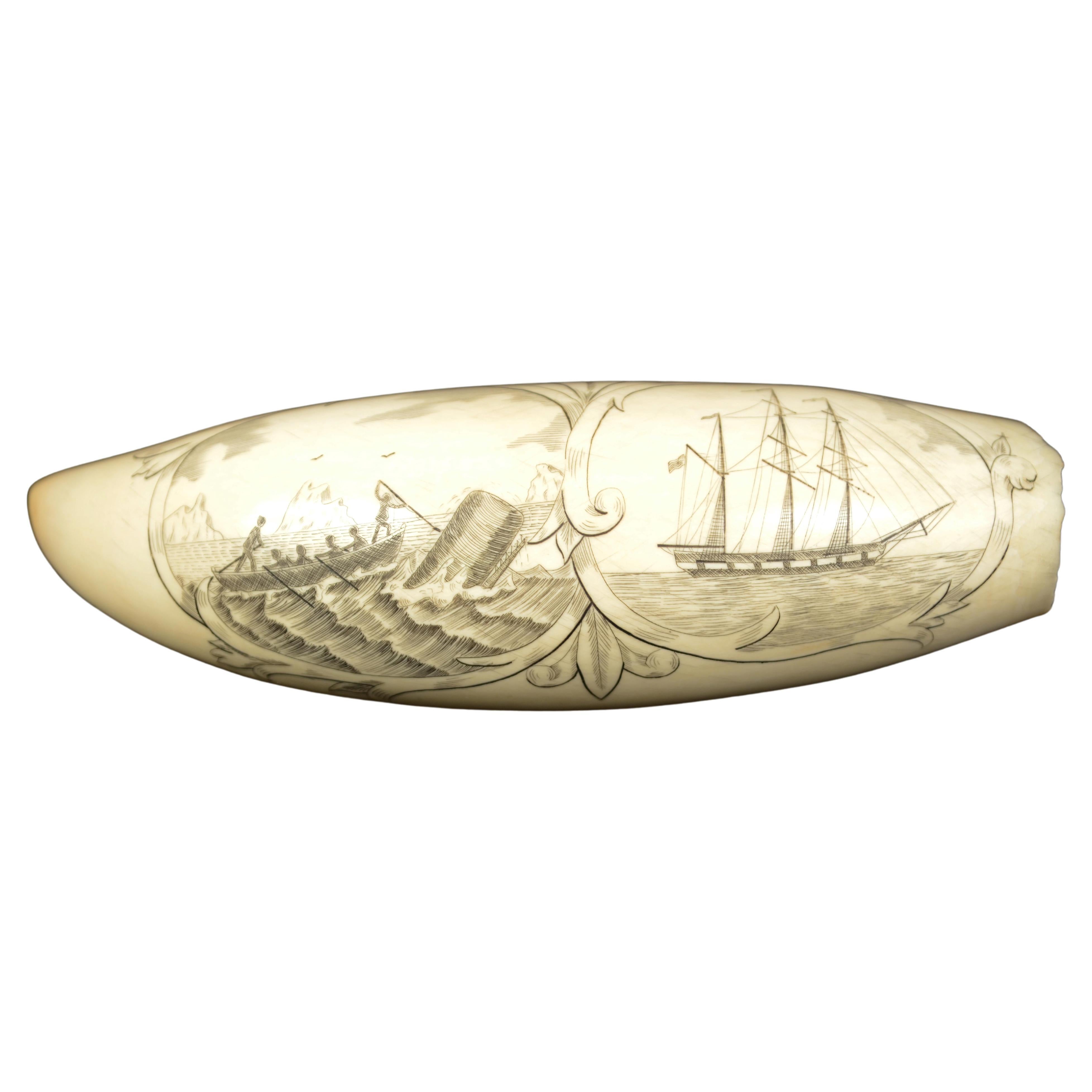 19th Century Scrimshaw of Antique Engraved Whale Tooth Fine Nautical ...