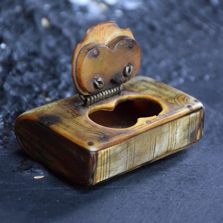 19th Century Scrimshaw Snuff Box For Sale at 1stDibs