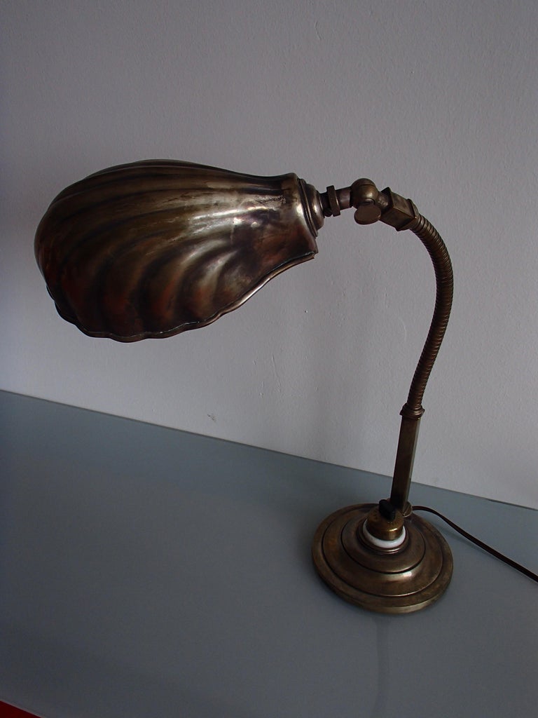 19th Century Shell Table Lamp with Flexible Neck For Sale at 1stDibs