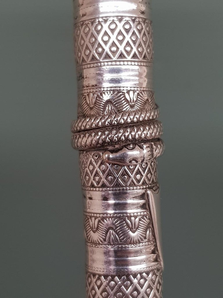 19th Century Silver Needle Sleeve with a Snake For Sale at 1stDibs
