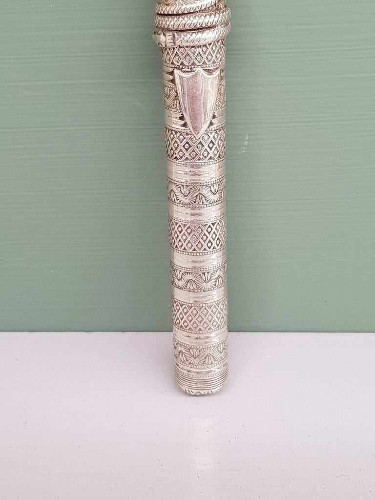 19th Century Silver Needle Sleeve with a Snake For Sale at 1stDibs