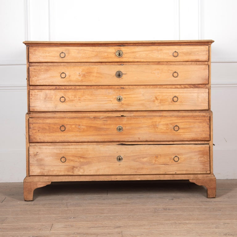 19th Century Swedish Box on Chest For Sale at 1stDibs