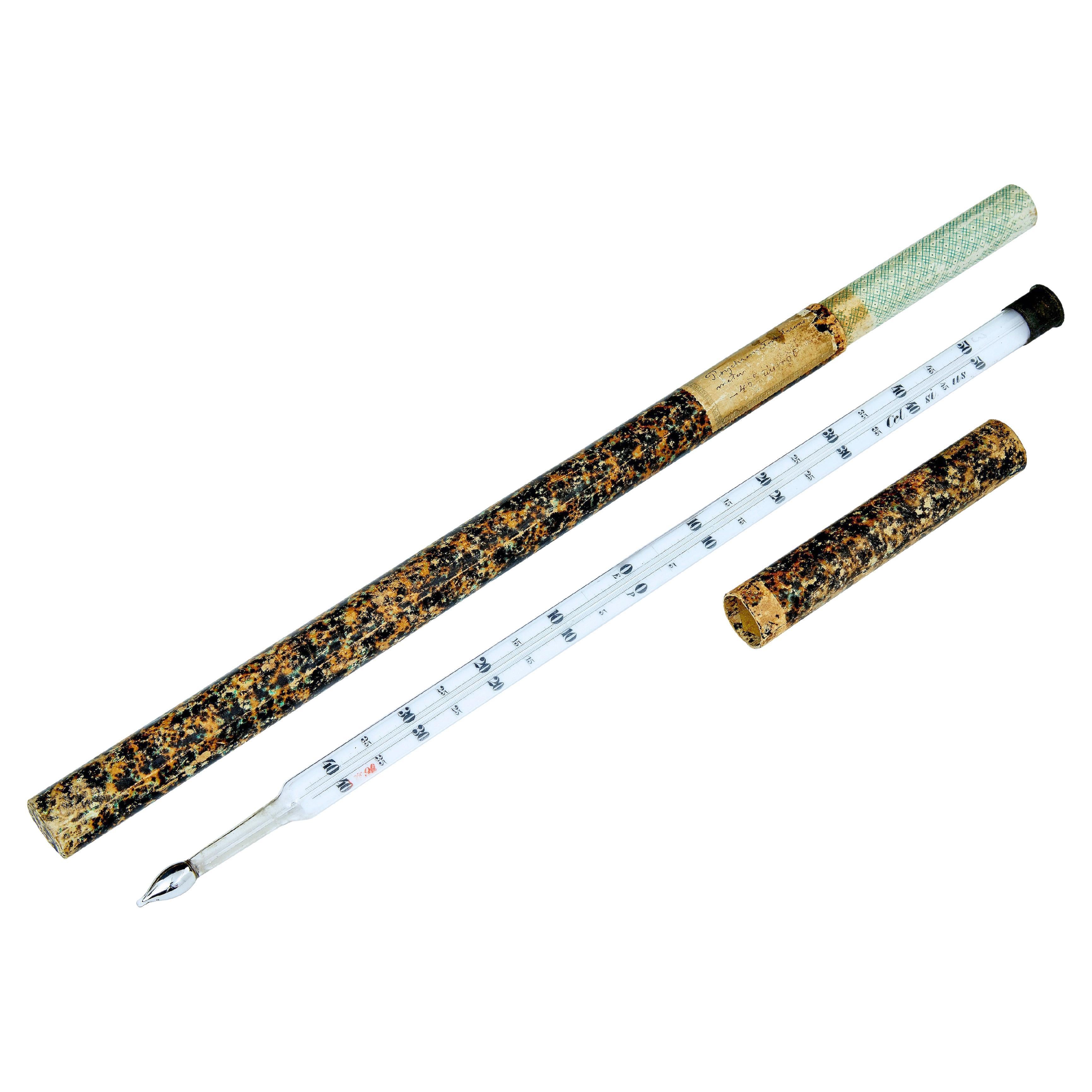 19th Century Thermometer in Original Case For Sale at 1stDibs