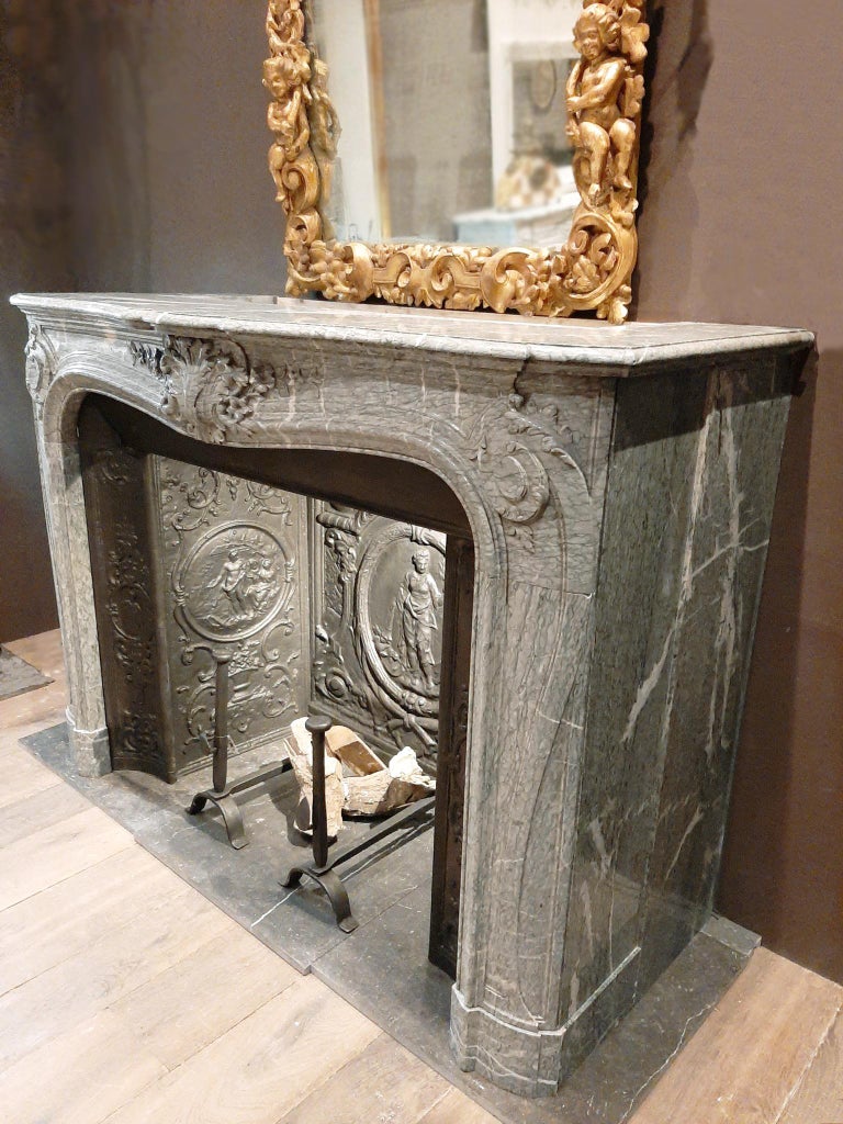 19th Century Vert d'Estours Marble Fireplace with Complete Cast Iron ...