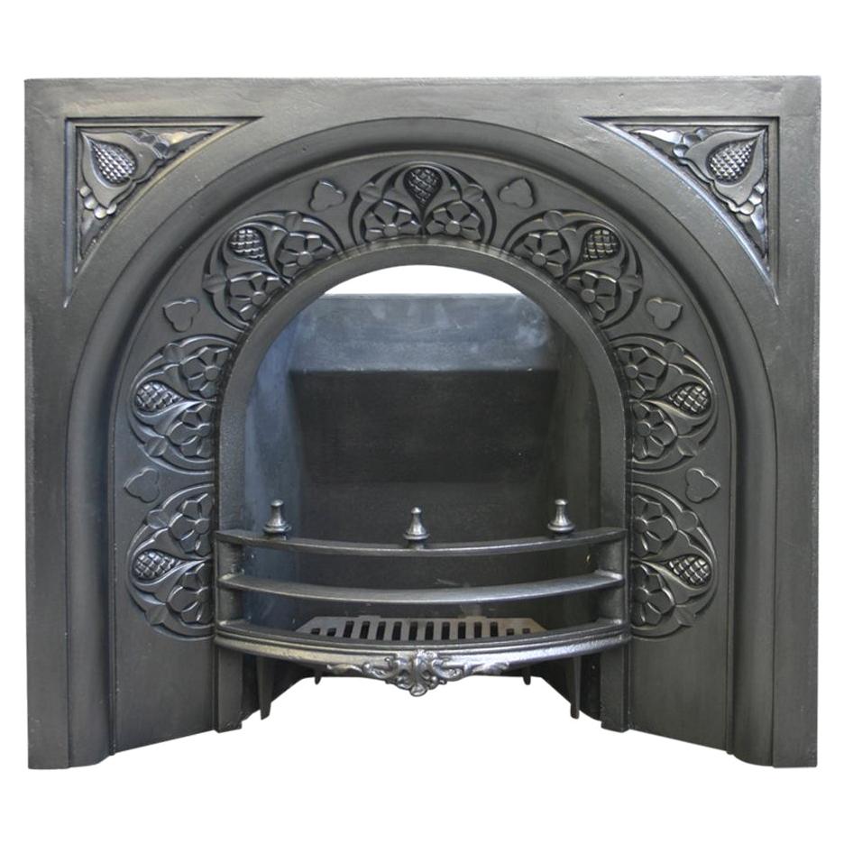 19th Century Victorian Arched Cast Iron Fire Insert at 1stDibs