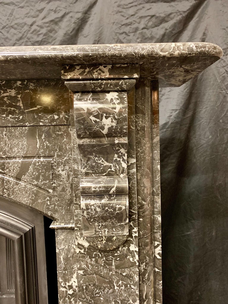 19th Century Victorian Fireplace in Grey Saint Anne des Pyrenees Marble ...