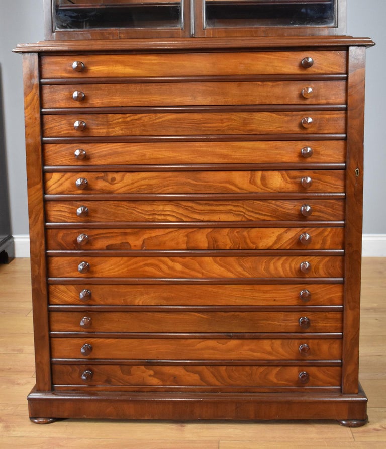 19th Century Victorian Mahogany Collectors Cabinet at 1stDibs ...