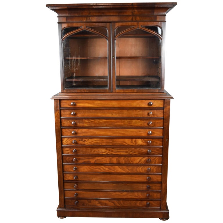 19th Century Victorian Mahogany Collectors Cabinet at 1stDibs ...