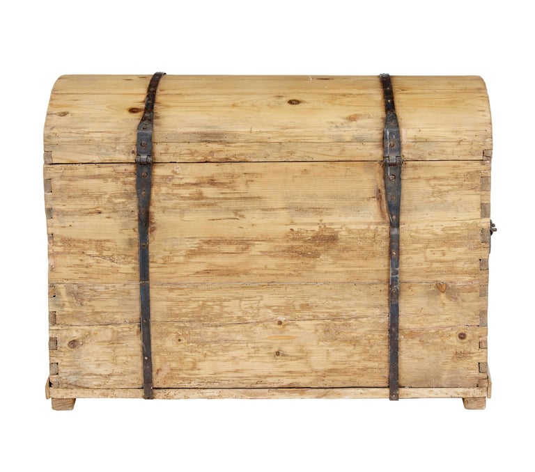 19th Century Victorian Rustic Pine Dome Top Trunk at 1stDibs