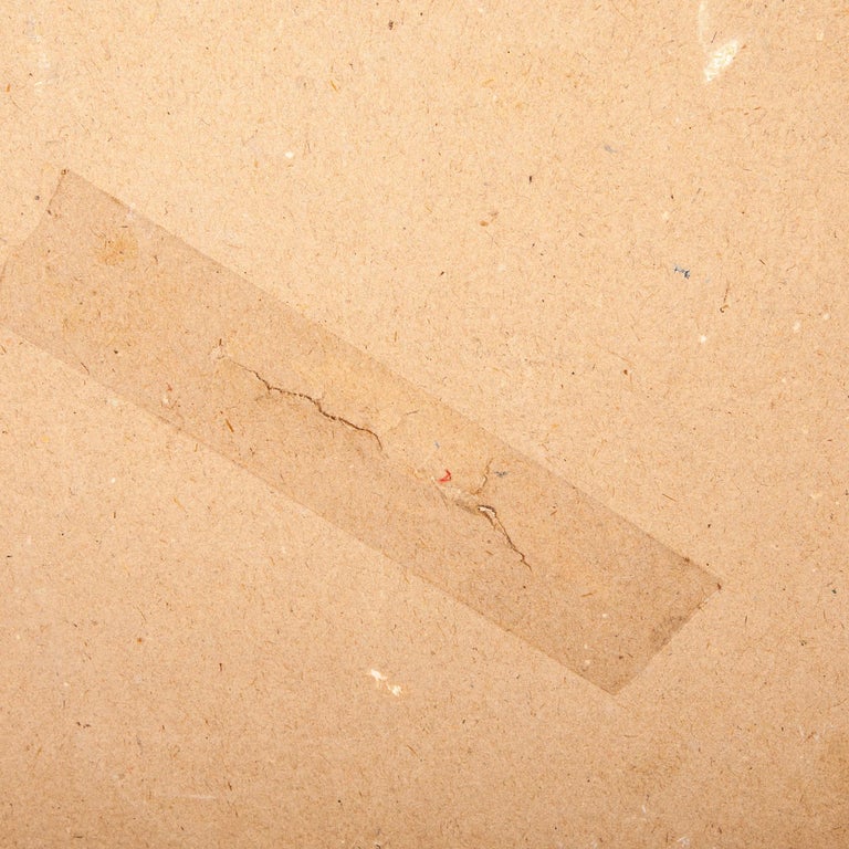 19th Century Vintage German Educational Chart, Sharks at 1stDibs