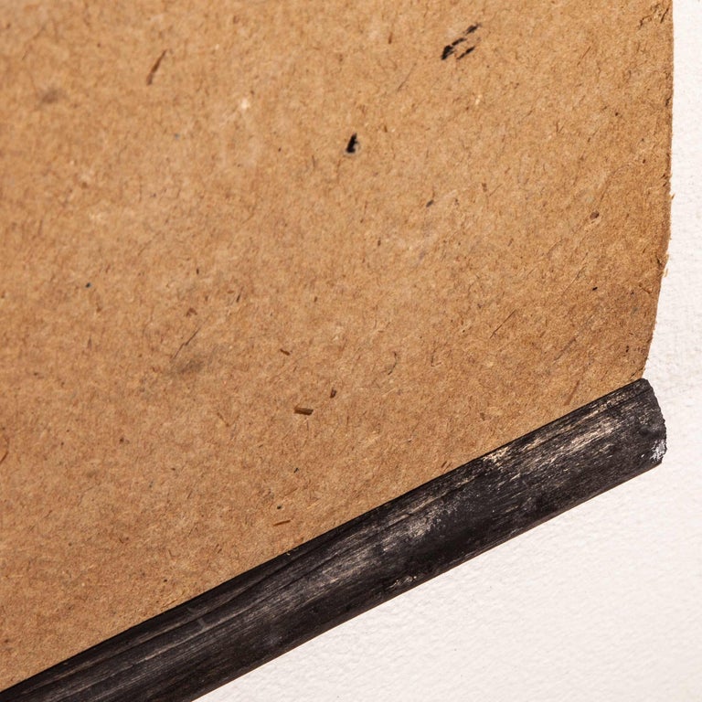 19th Century Vintage German Educational Chart, Sharks at 1stDibs