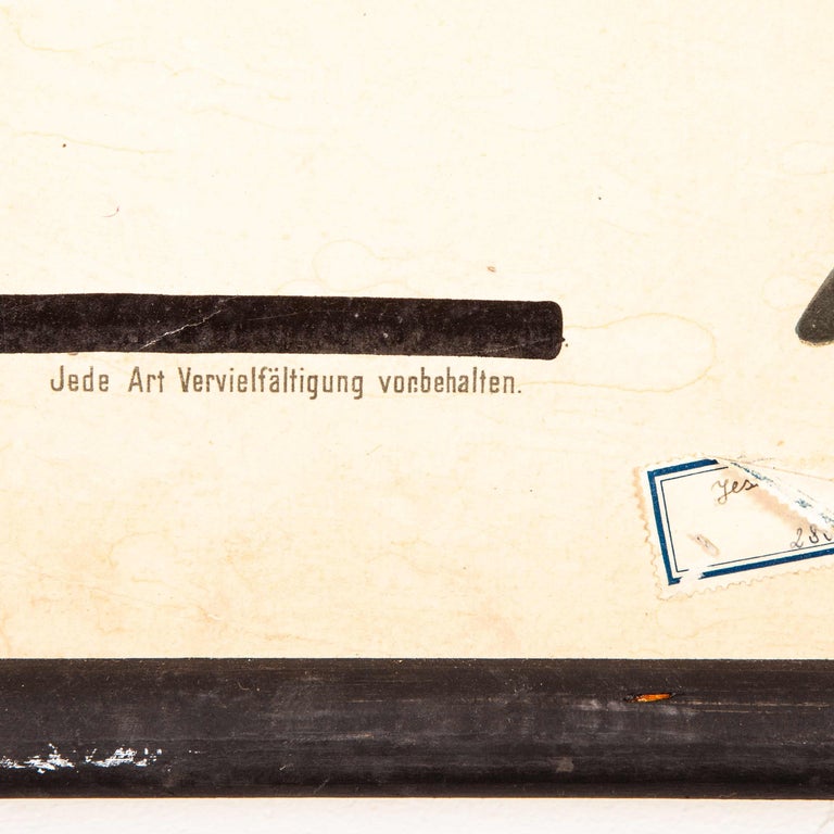 19th Century Vintage German Educational Chart, Sharks at 1stDibs