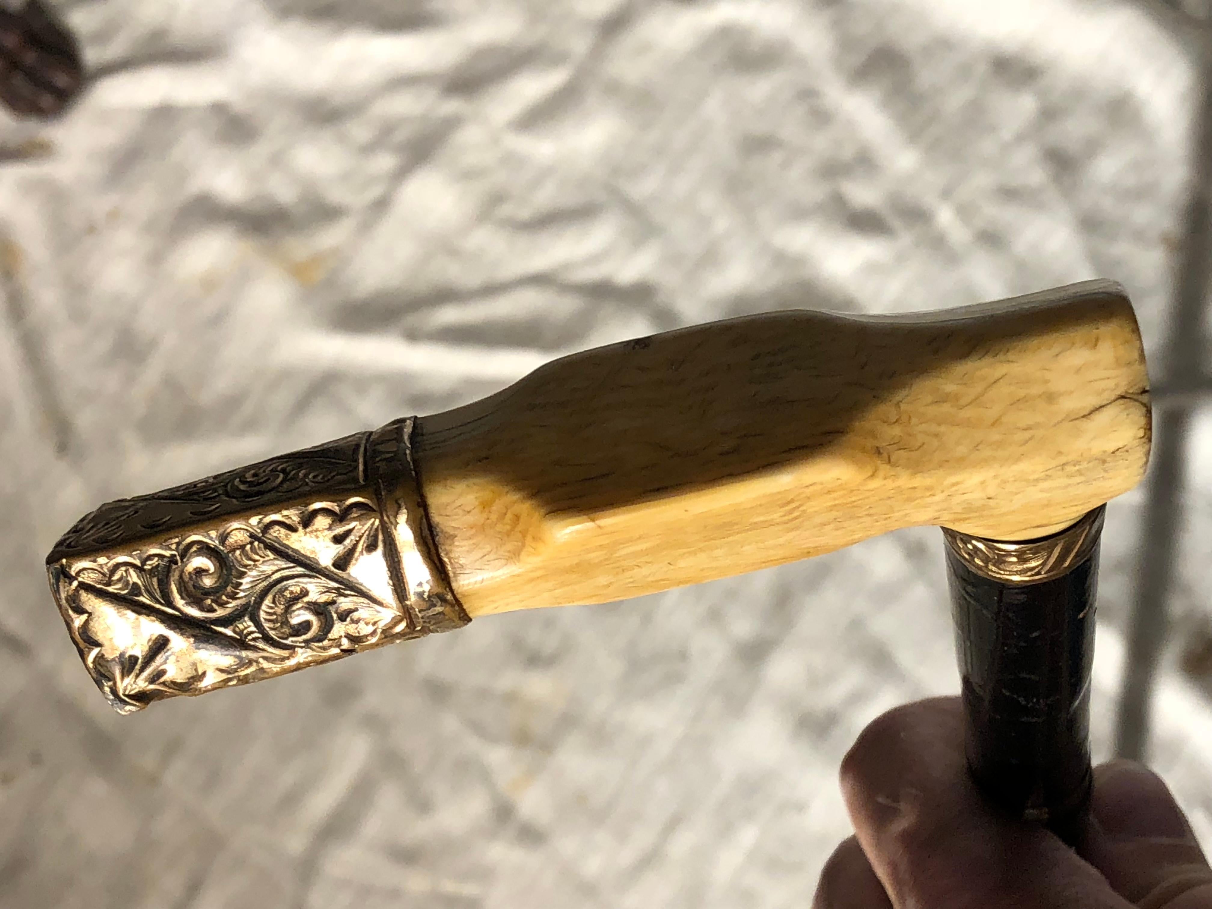 19th Century Walking Stick, Bone Handle at 1stDibs