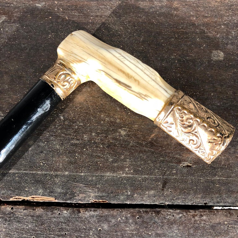 19th Century Walking Stick, Bone Handle For Sale at 1stDibs