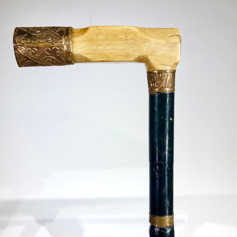 19th Century Walking Stick, Bone Handle For Sale at 1stDibs