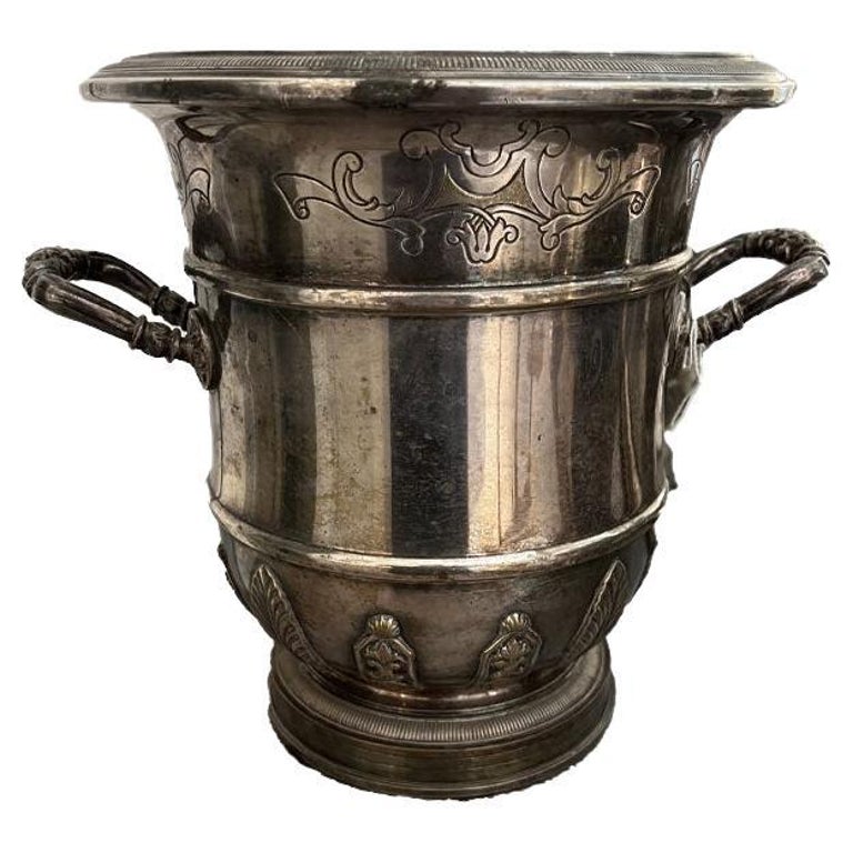 19th Century Wine Bucket For Sale at 1stDibs
