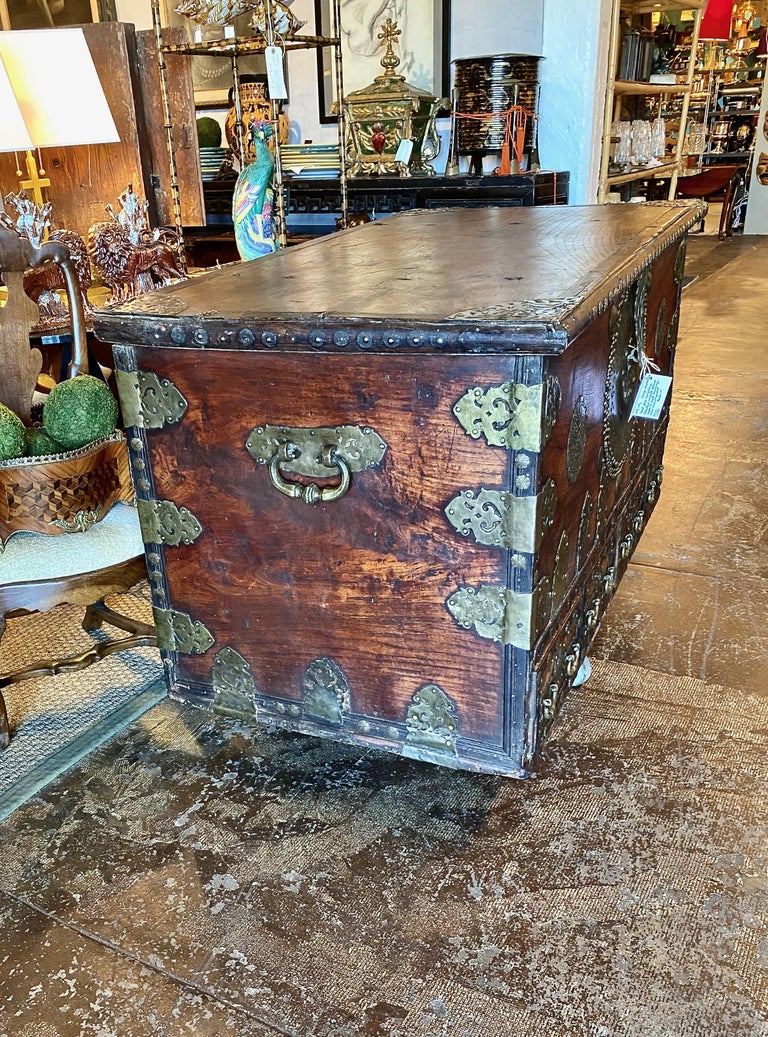 19th Century Zanzibar Chest For Sale at 1stDibs