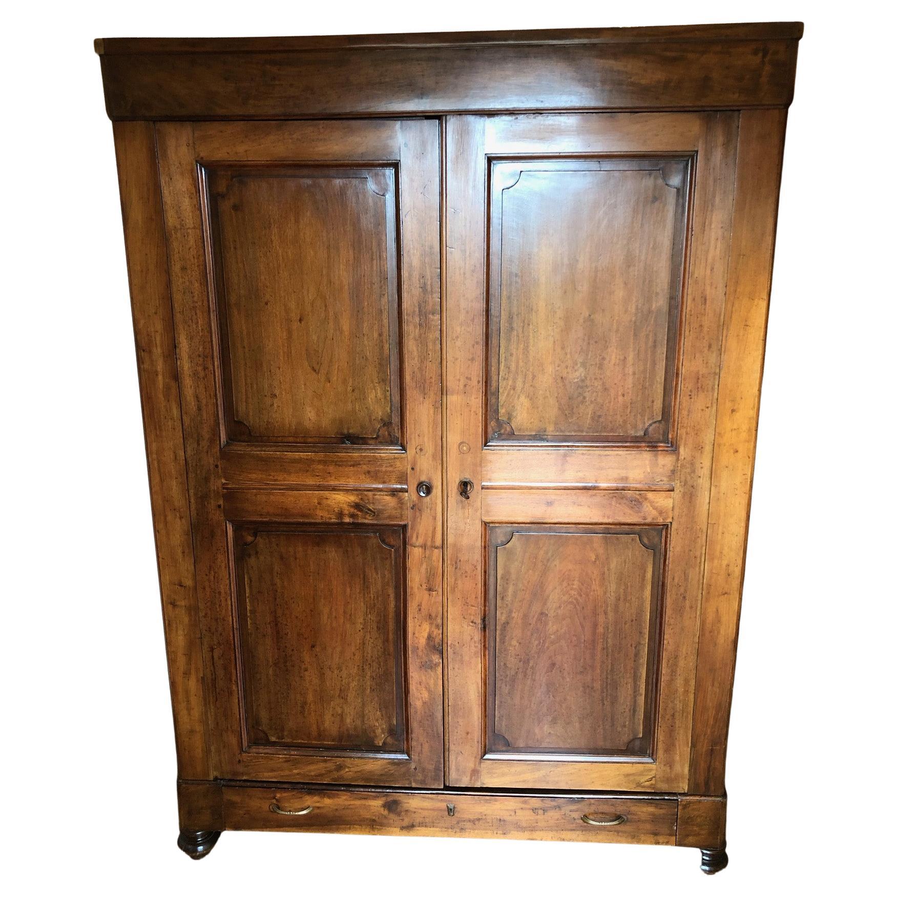 19th Century Italian Wardrobe in Solid Walnut with Two Doors at 1stDibs