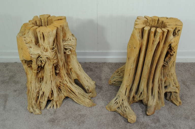 2 Cypress Tree Root Trunk Driftwood Dining Table Desk Double Pedestal ...