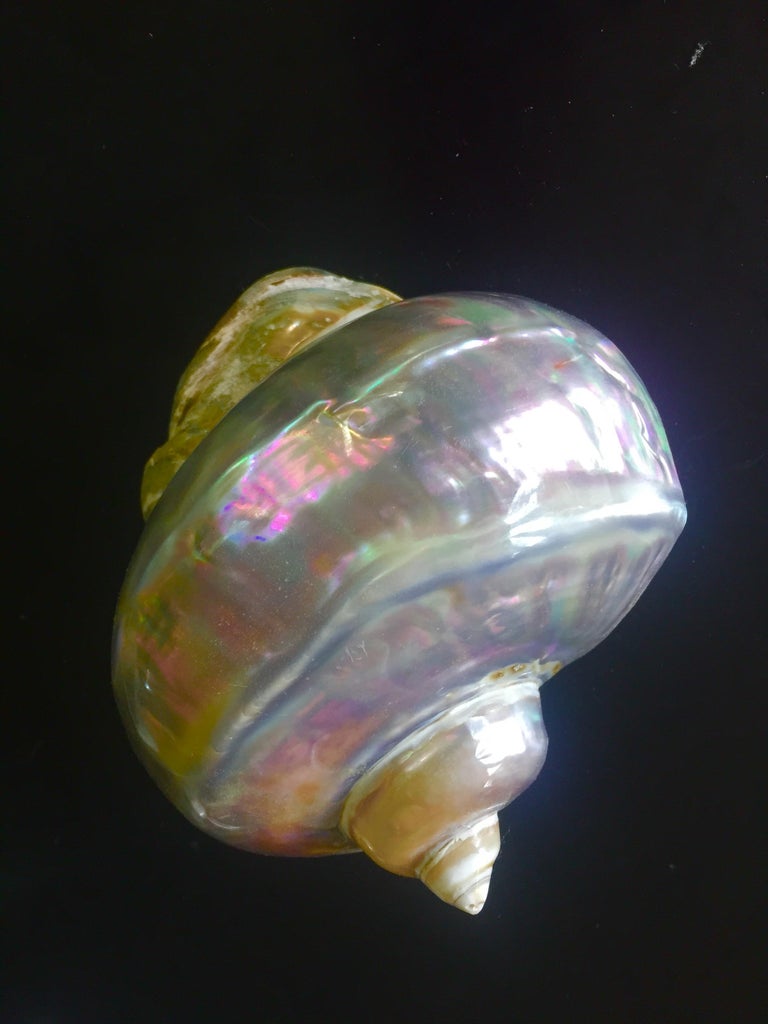 2 large Pink Pearl and Nacre Necklaces with matching earrings by Sylvia ...