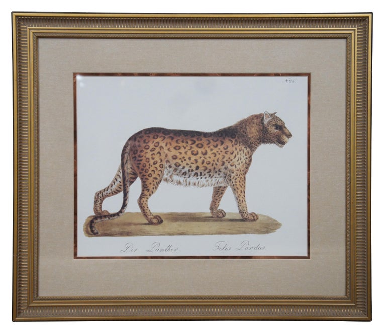 2 Vintage Karl Joseph Brodtmann Leopard Panther Lion Big Cat ...