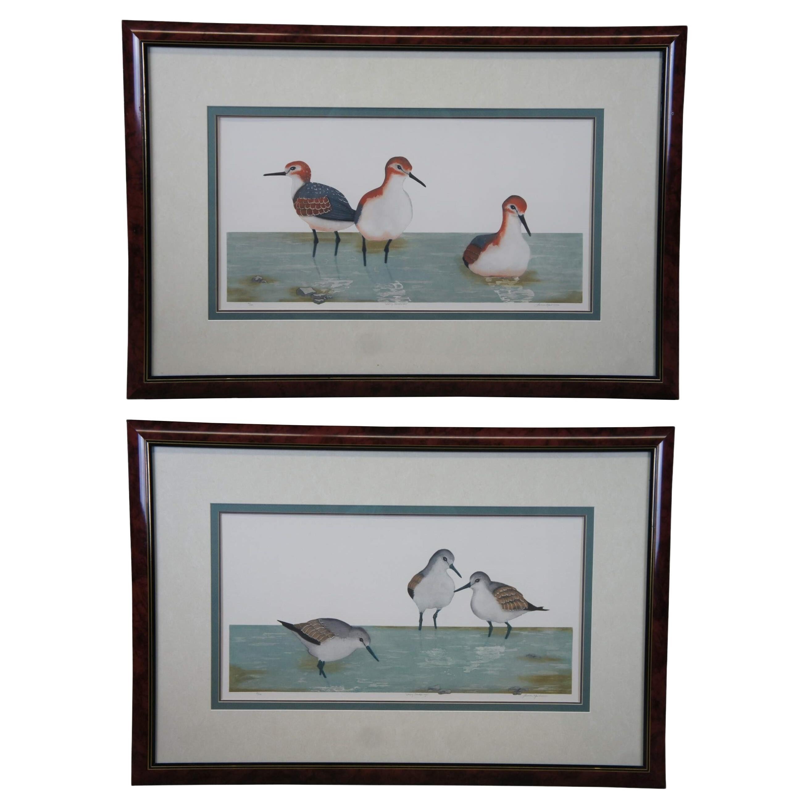 Old Hand-Colored Bird Print of the Male Ruff Wading Bird, a Sandpiper ...