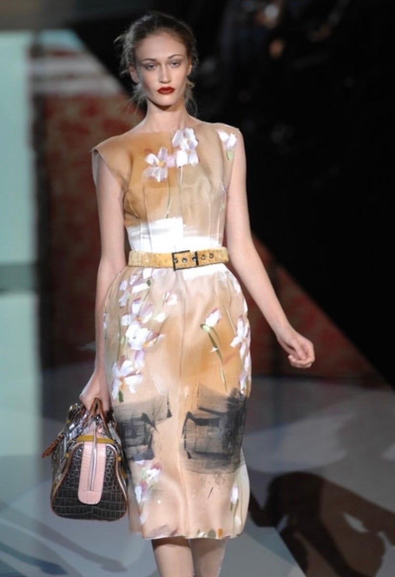 2008 Dolce and Gabbana Hand Painted Limited Edition 46/150 Runway Dress ...