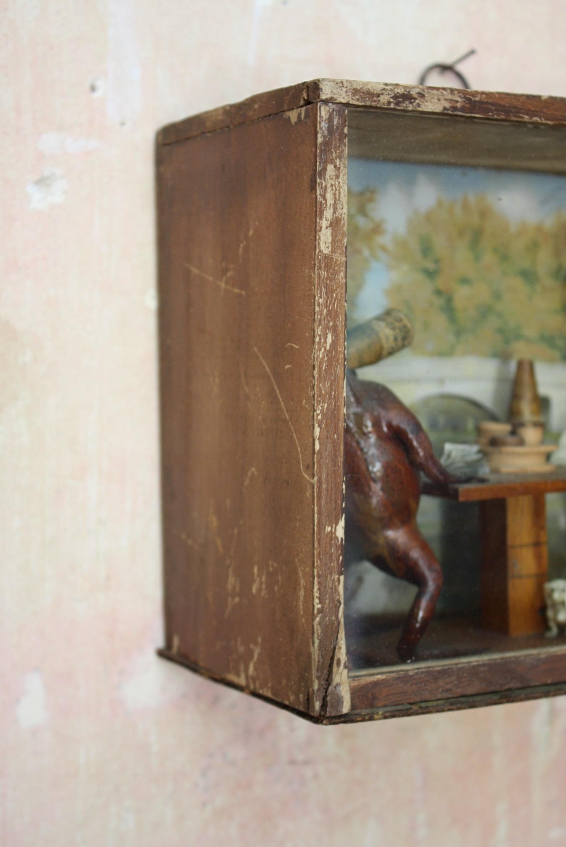 20th C Anthropomorphic Taxidermy Drinking Toads Curio Manner of Walter ...