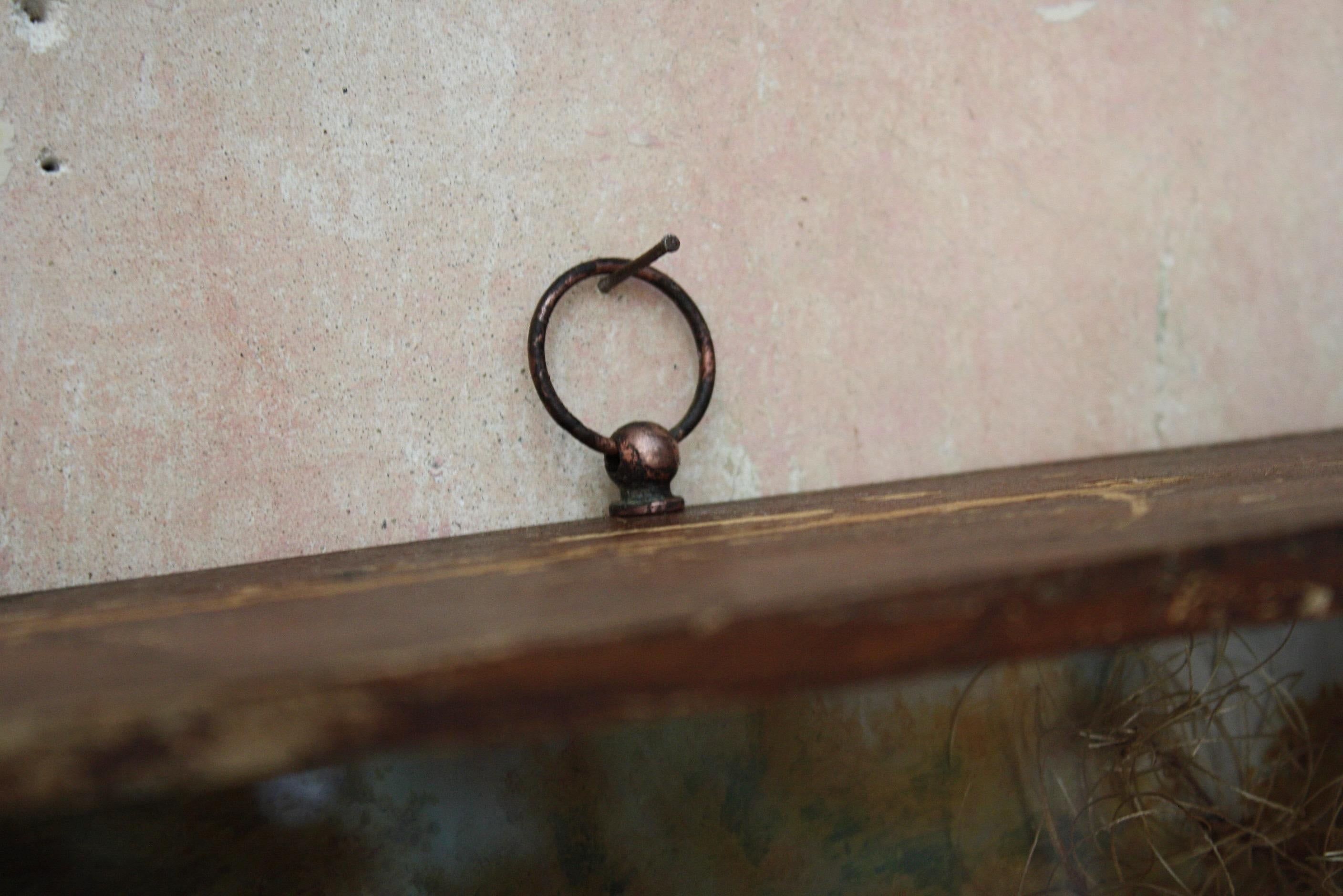 20th C Anthropomorphic Taxidermy Drinking Toads Curio Manner of Walter ...