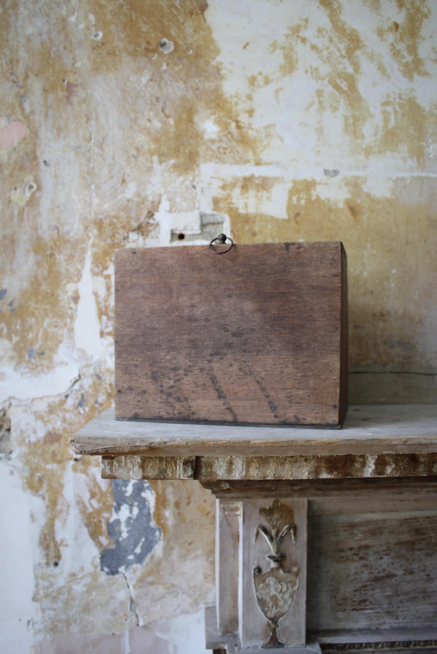 20th C Anthropomorphic Taxidermy Drinking Toads Curio Manner of Walter ...