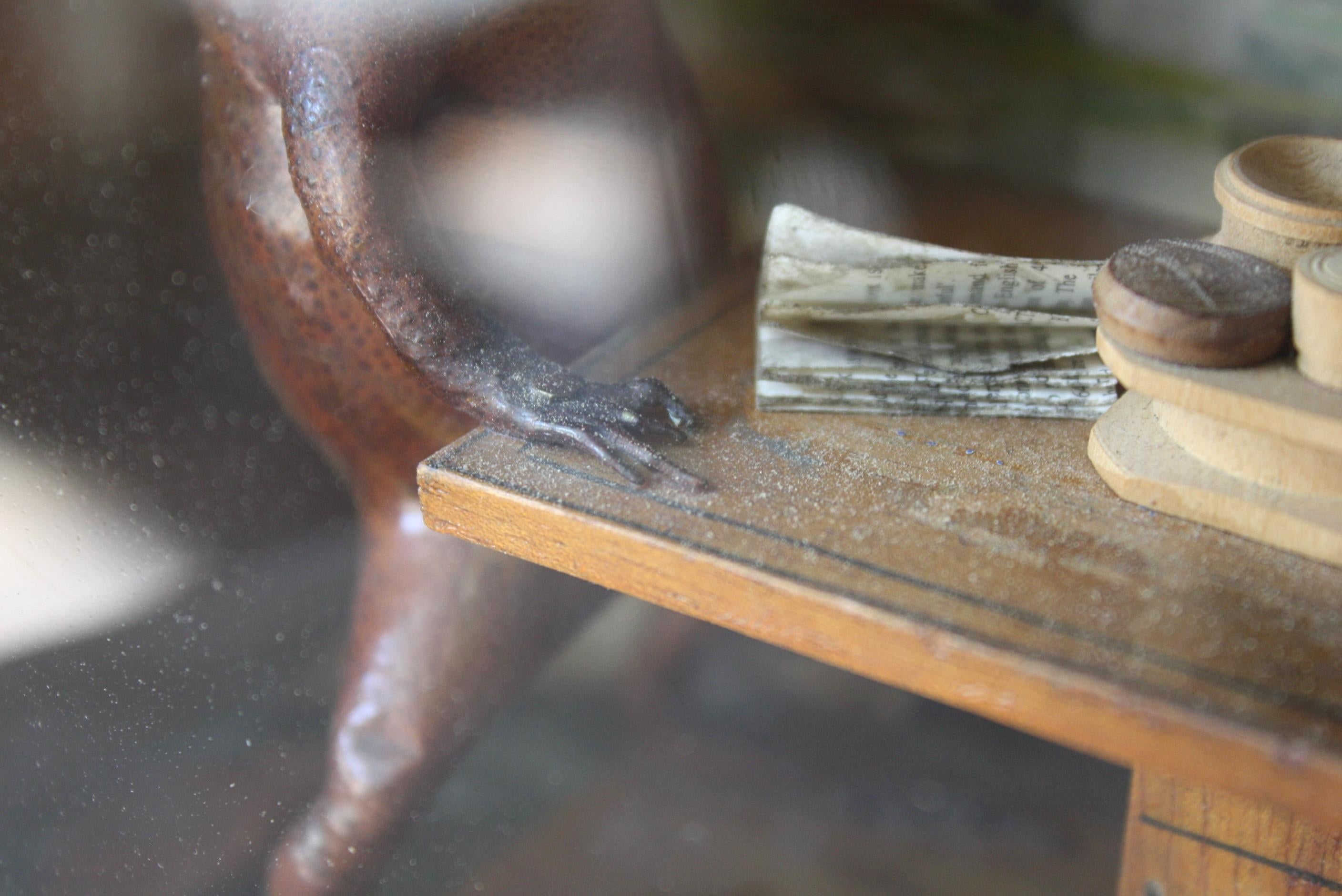 20th C Anthropomorphic Taxidermy Drinking Toads Curio Manner of Walter ...