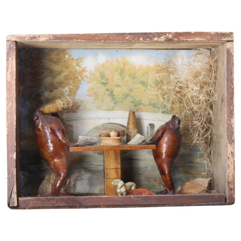 20th C Anthropomorphic Taxidermy Drinking Toads Curio Manner of Walter ...