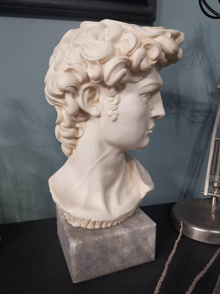 20th Century Bust David by Michelangelo For Sale at 1stDibs
