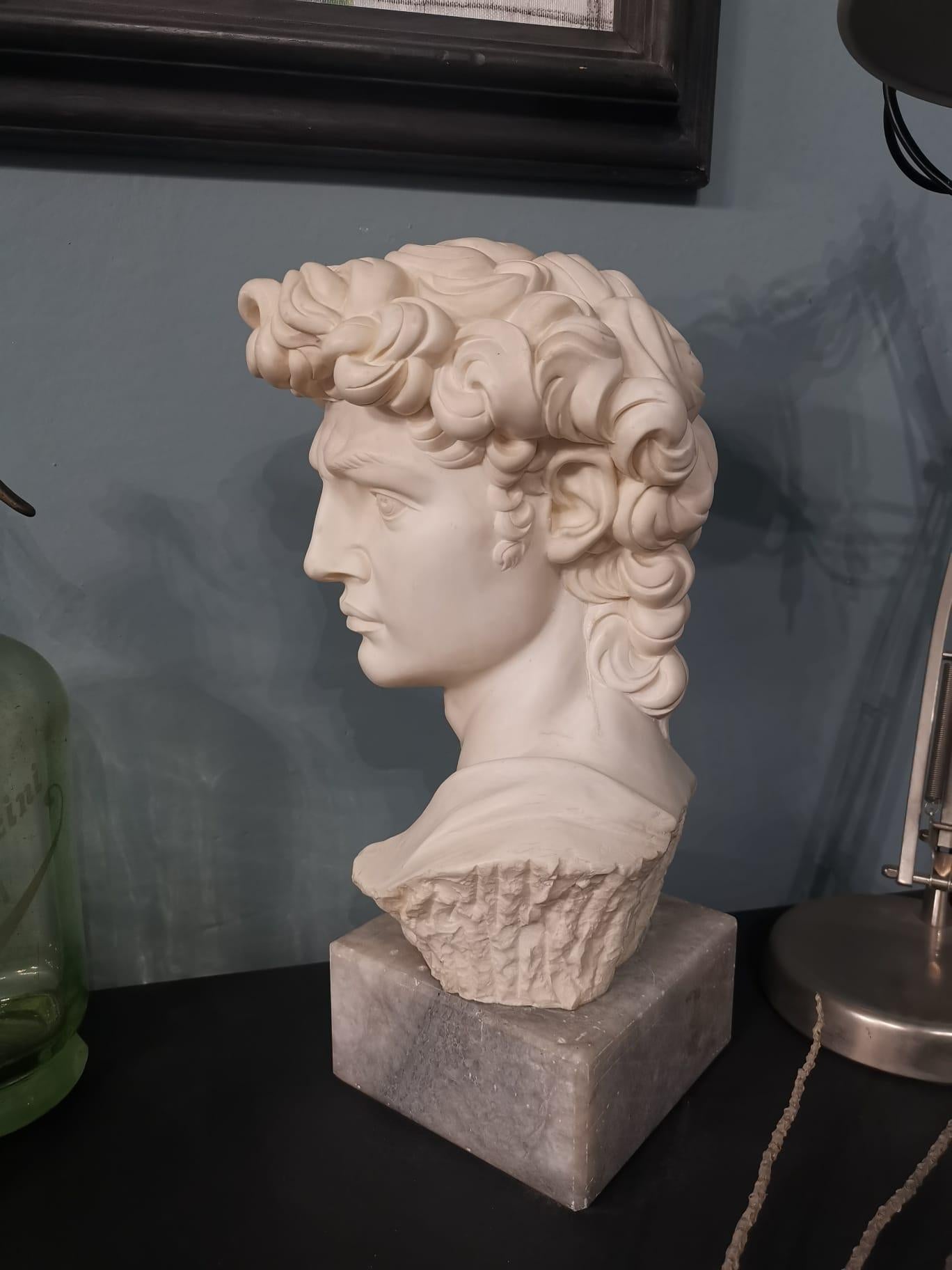 20th Century Bust David by Michelangelo For Sale at 1stDibs ...