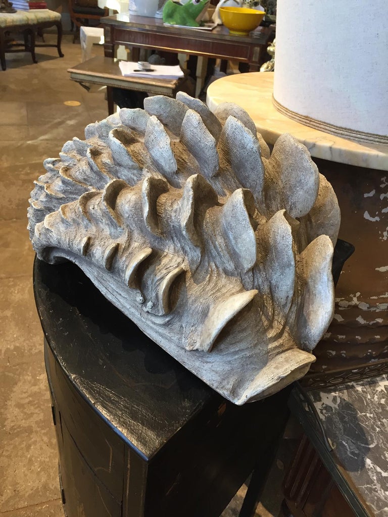 20th Century Carved Wooden Shell, Wall Mount For Sale at 1stdibs