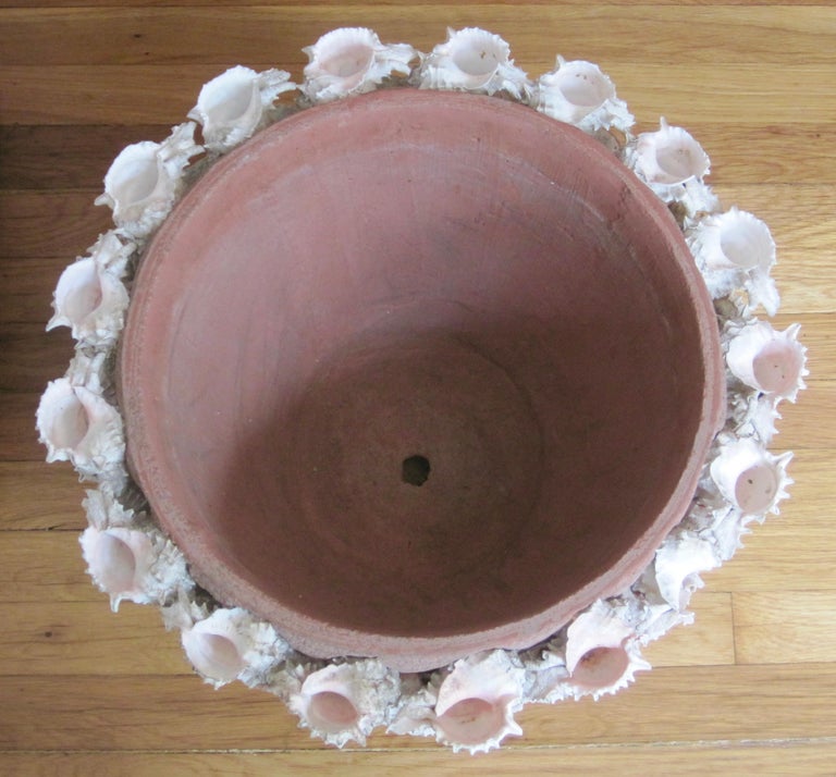 Conch Shell Encrusted Terra Cotta Planter Pot, 20th Century For Sale at ...