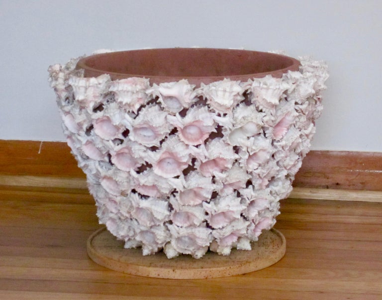 Conch Shell Encrusted Terra Cotta Planter Pot, 20th Century For Sale at ...