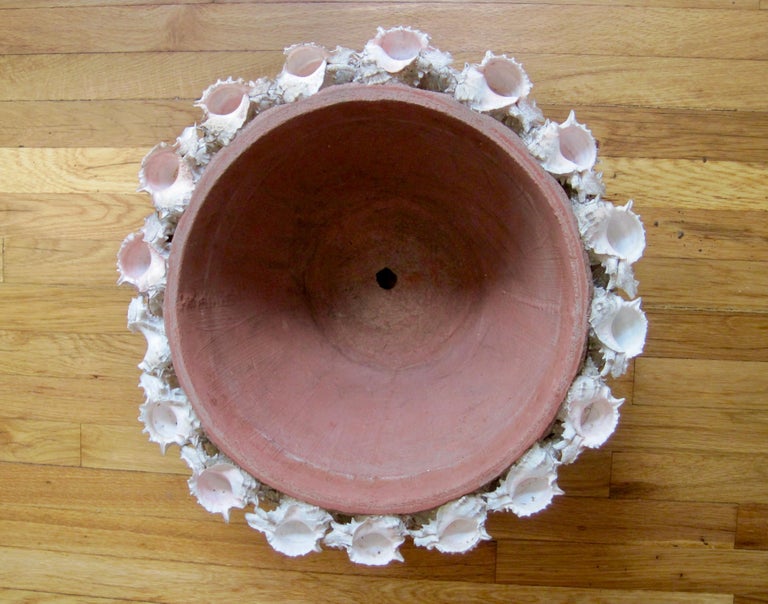 Conch Shell Encrusted Terra Cotta Planter Pot, 20th Century For Sale at ...