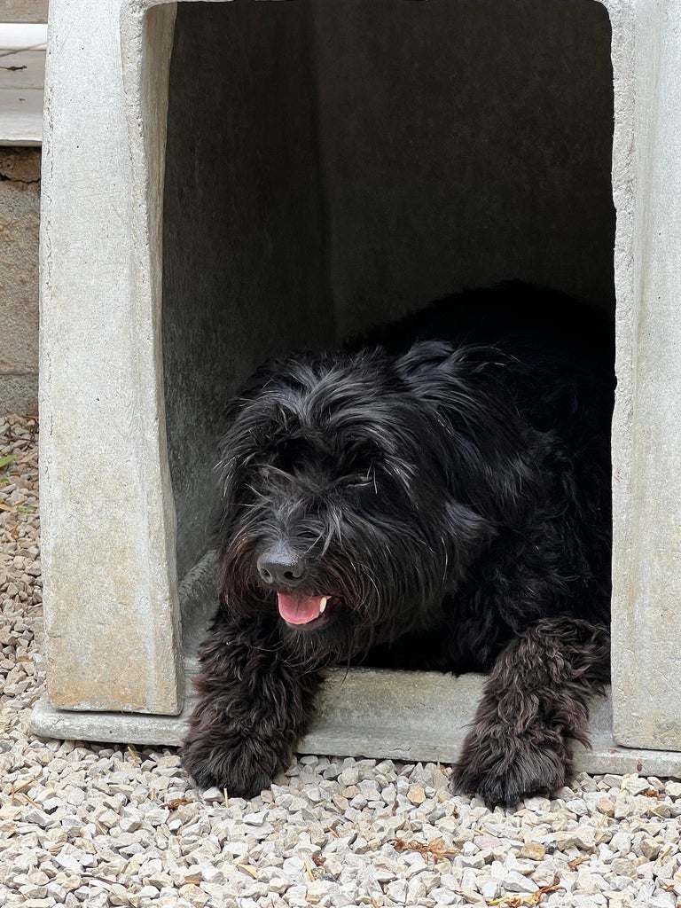 20th Century Design "Dog House" Willy Guhl in Cement XL, Switzerland ...