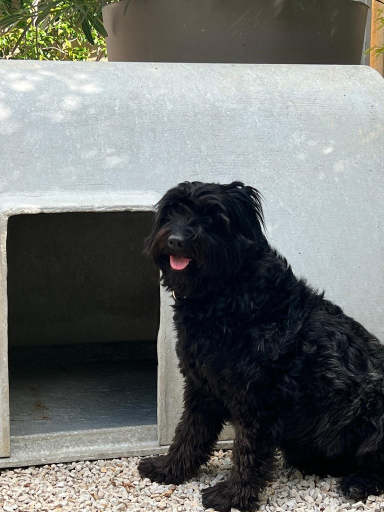 20th Century Design "Dog House" Willy Guhl in Cement XL, Switzerland ...