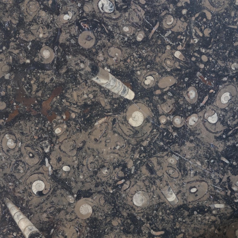 20th Century Fossil Marble Coffee Table For Sale at 1stDibs