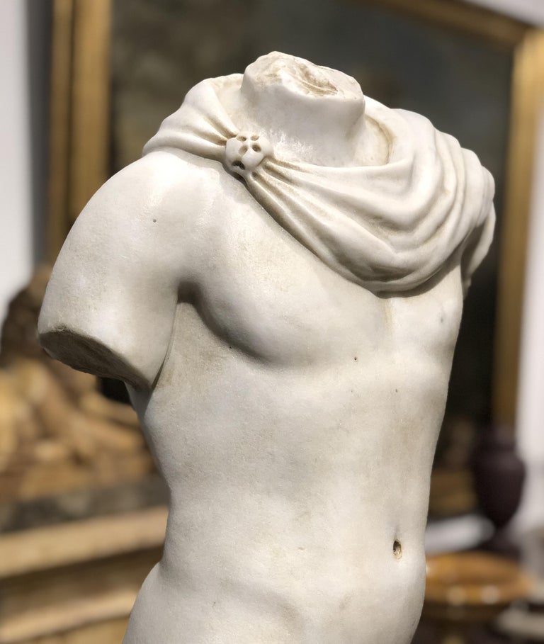 20th Century Italian Marble Sculpture Torso Apollo Belvedere Vatican ...