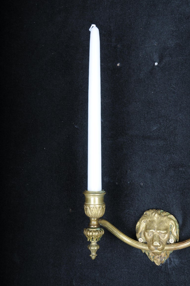 20th Century Lion Wall Sconce/Wall Candlestick, Brass, Gold For Sale at ...