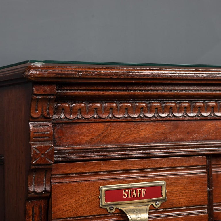 20th Century Mahogany Shannon Filing Cabinet with Twelve Drawers, 1920s ...