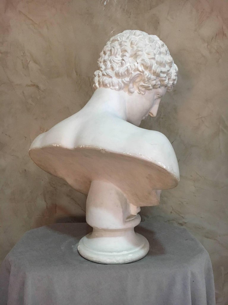 20th Century Men Plaster Bust Apollo, 1940s at 1stDibs