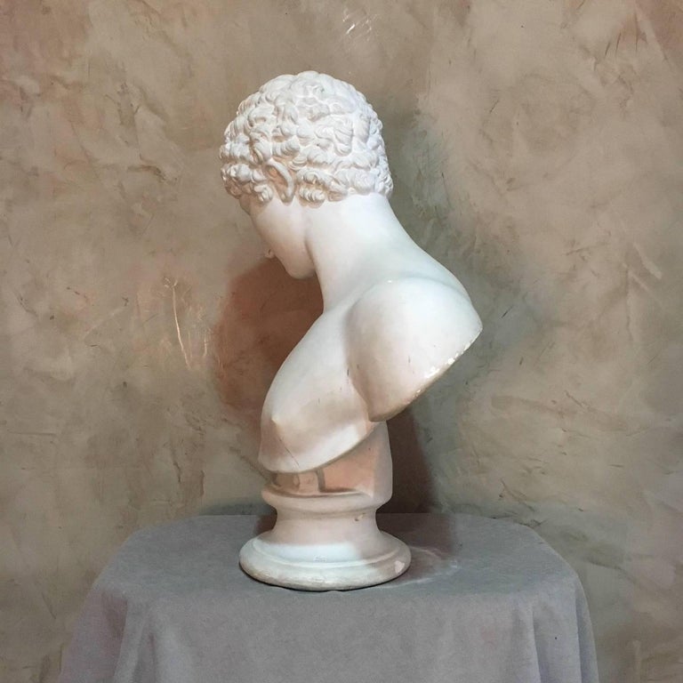 20th Century Men Plaster Bust Apollo, 1940s at 1stDibs