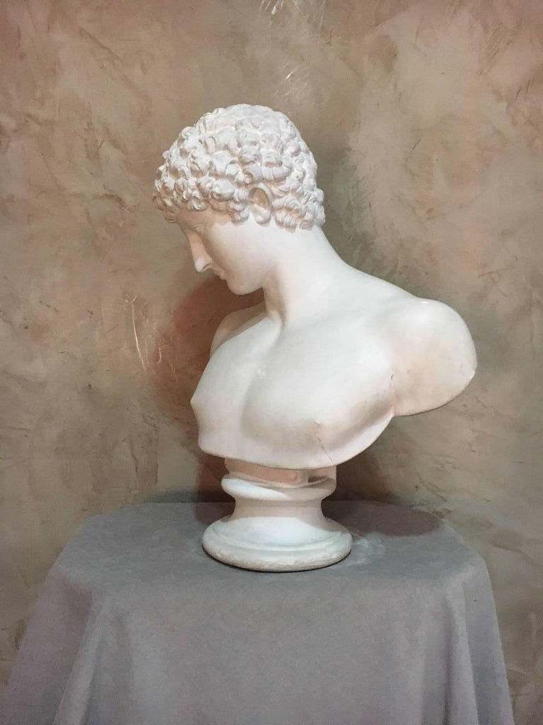 20th Century Men Plaster Bust Apollo, 1940s at 1stDibs