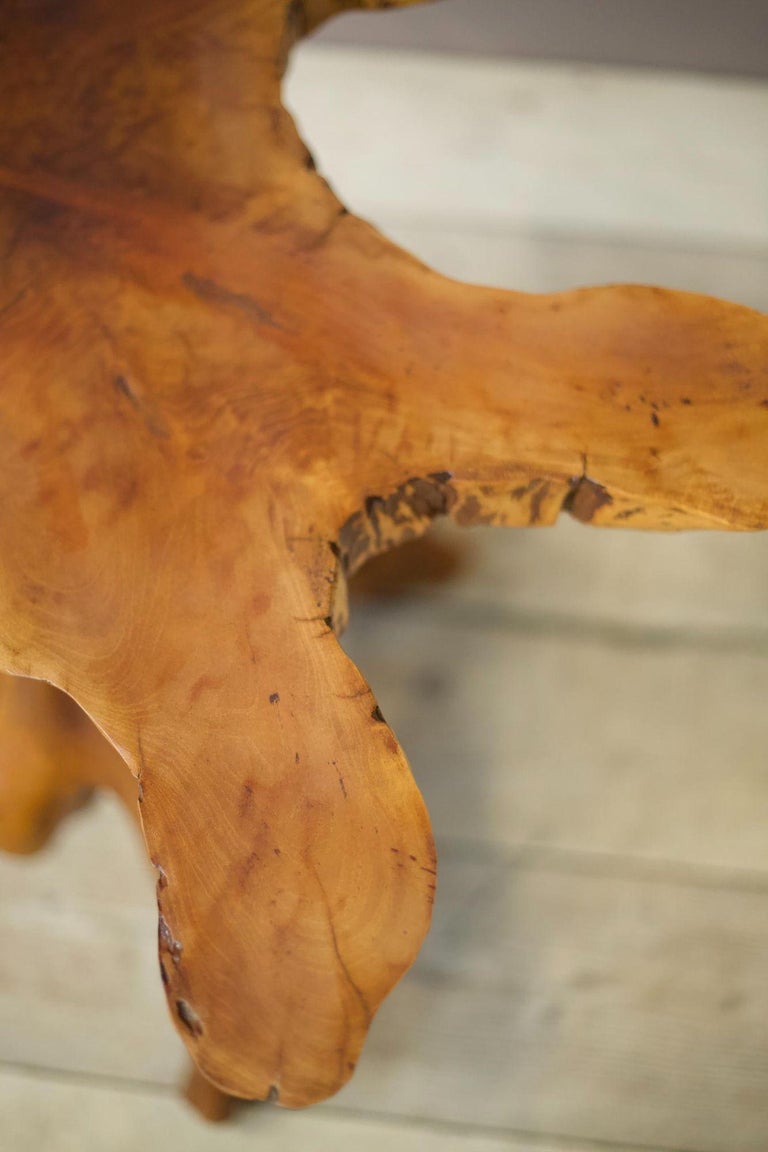 20th Century Naturalistic Root Table For Sale at 1stDibs