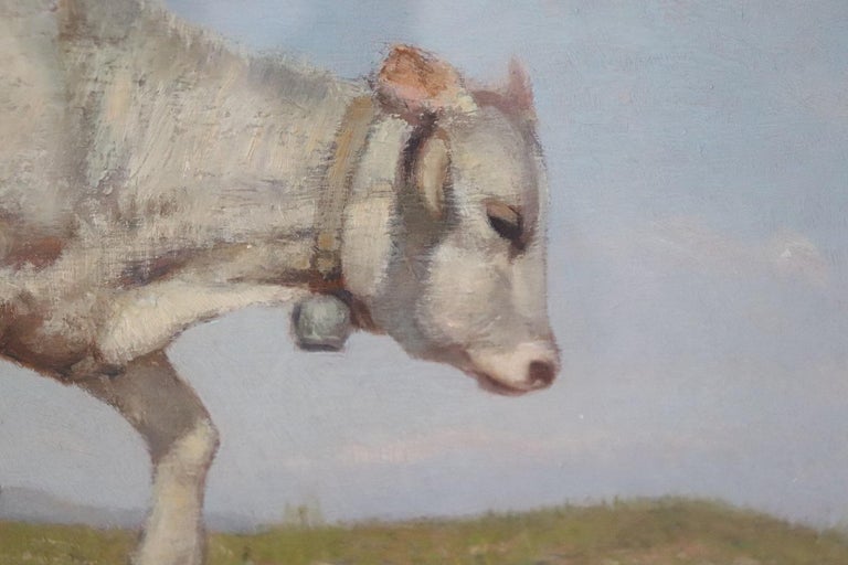 20th Century Oil on Board Italian Painting with Calf, Signed Alberto ...