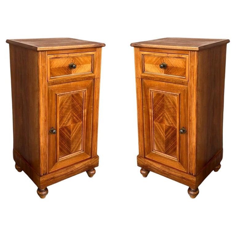 Paire de tables de nuit Biedermeier du 20e siècle avec un tiroir et une porte En vente sur 1stDibs